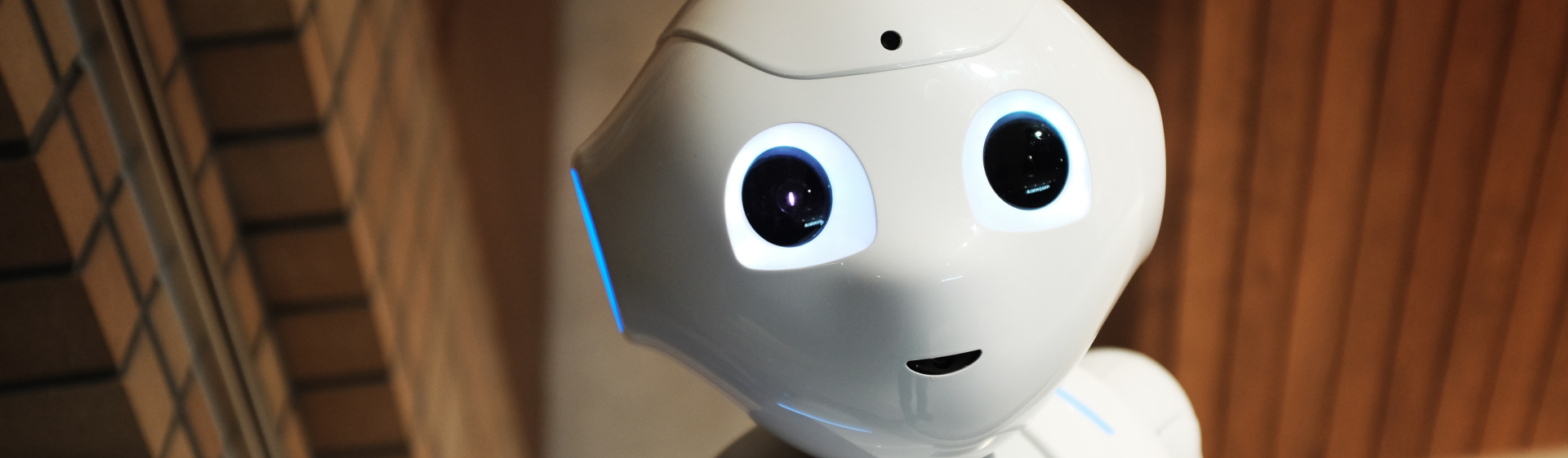 Das Kompetenzmodell - Rollen der ICT